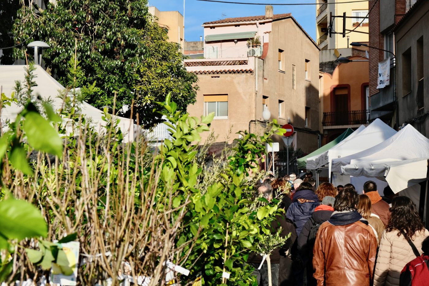 La 175a Fira de la Candelera, en imatges | Viu Molins de Rei